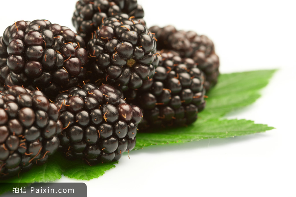 Bonnie Dewberry_360百科