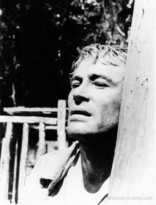 Peter Tost_360百科