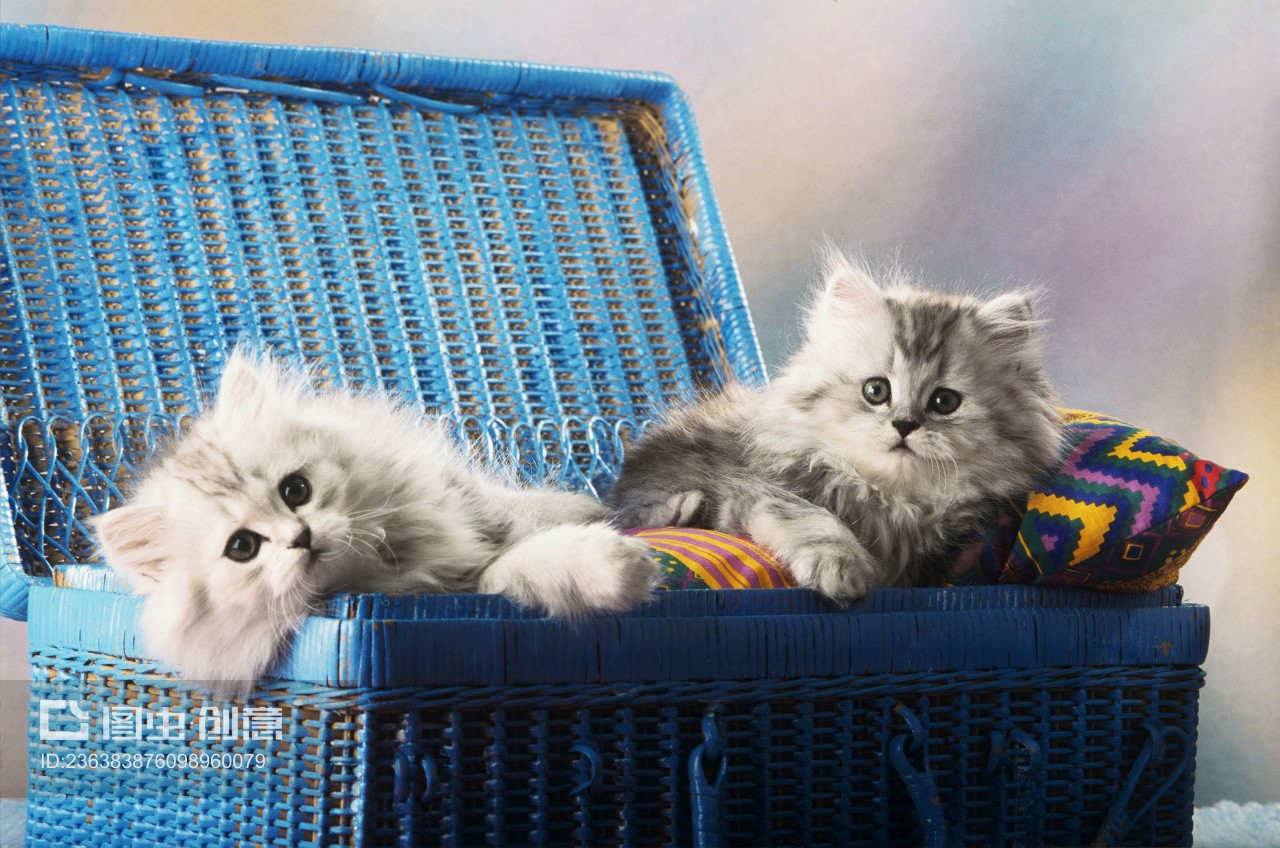 电脑桌面壁纸高清4k可爱图片素材-免费可商用-高清下载-快剪辑